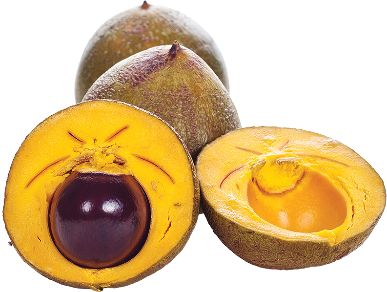 LUCUMA - Miracle7.com